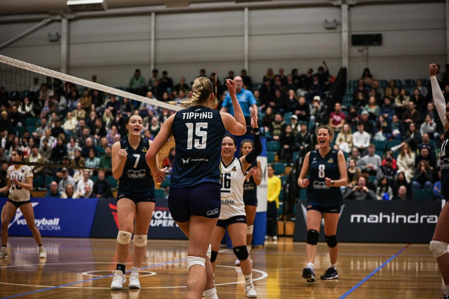 Volleyball Super League: Melbourne Vipers vs NSW Phoenix - State Sports ...